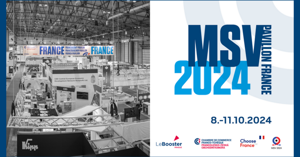 21e édition du Pavillon France au Salon International de l'Industrie de Brno (MSV) 2024 | CCI ...